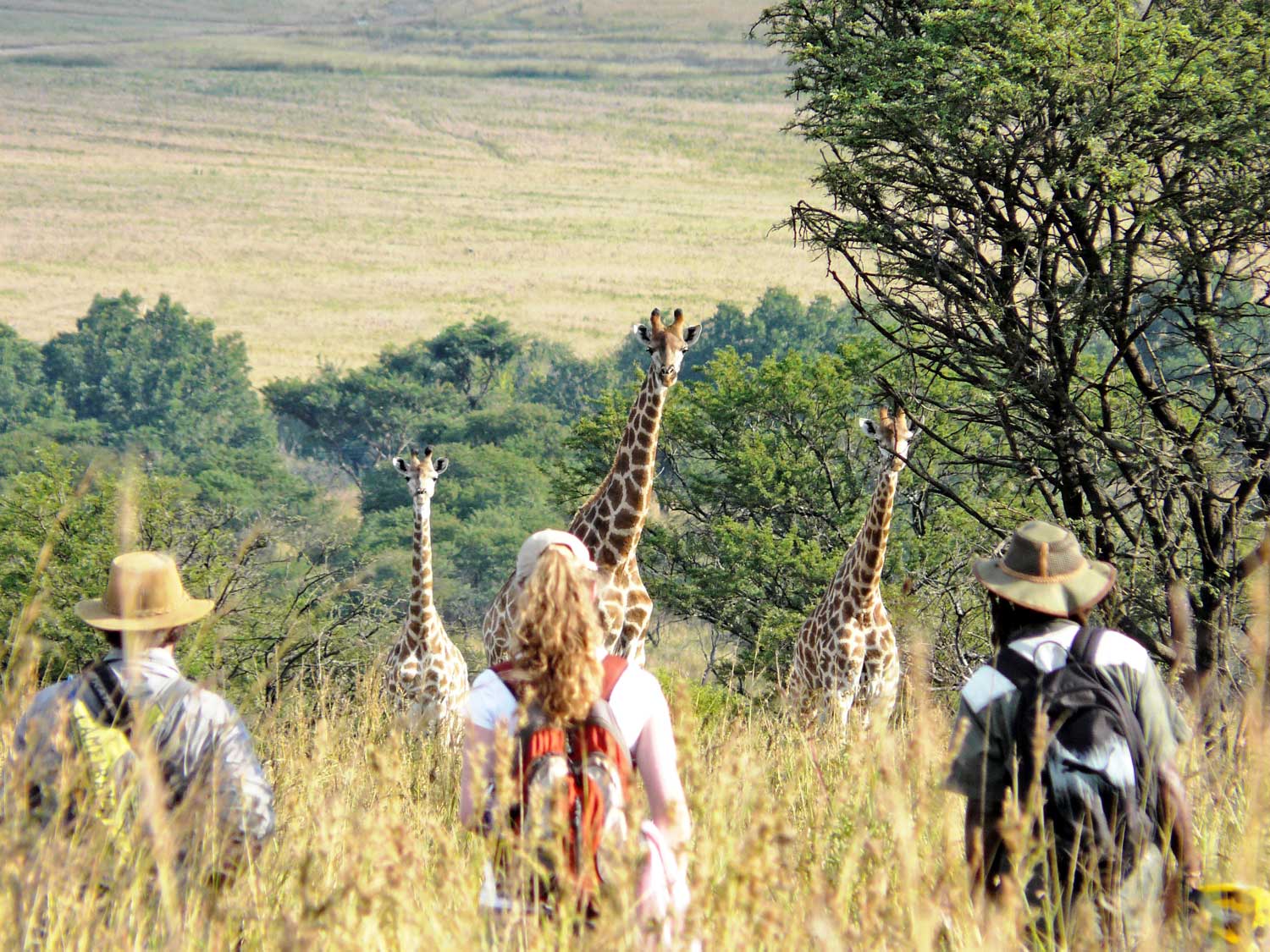 Imaginative Traveller support tour of UmPhafa Reserve in South Africa ...