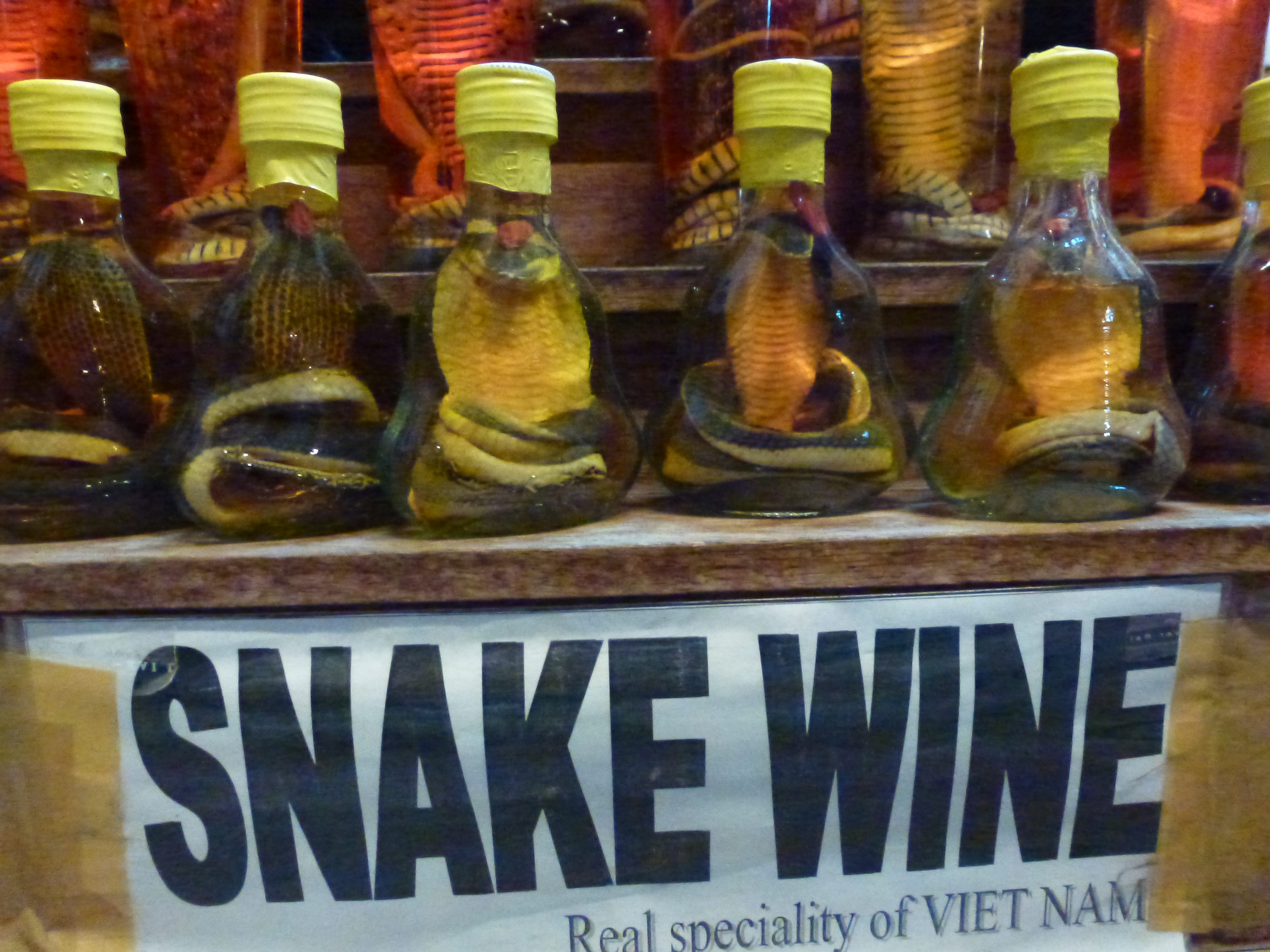 Cambodia Cocktails & Culinary Delights - Imaginative Traveller